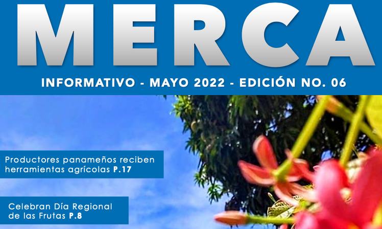 Merca Informativo Mayo